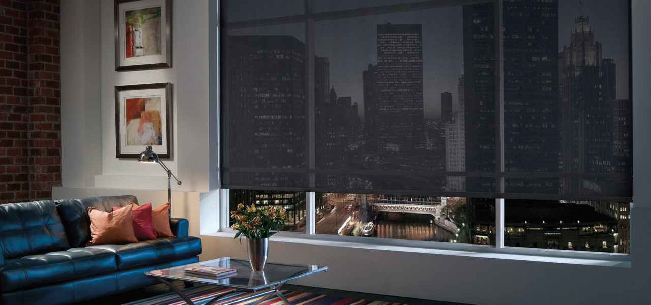 Hunter Douglas Designer Screen Shades - ZBlinds